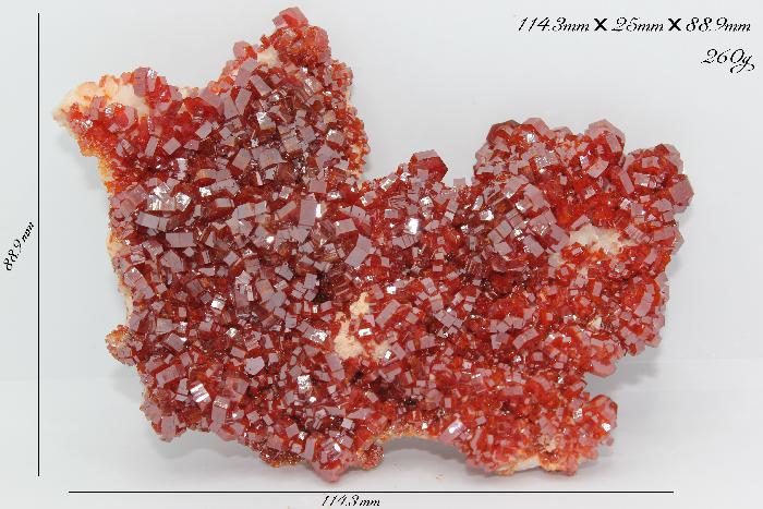 Geology365